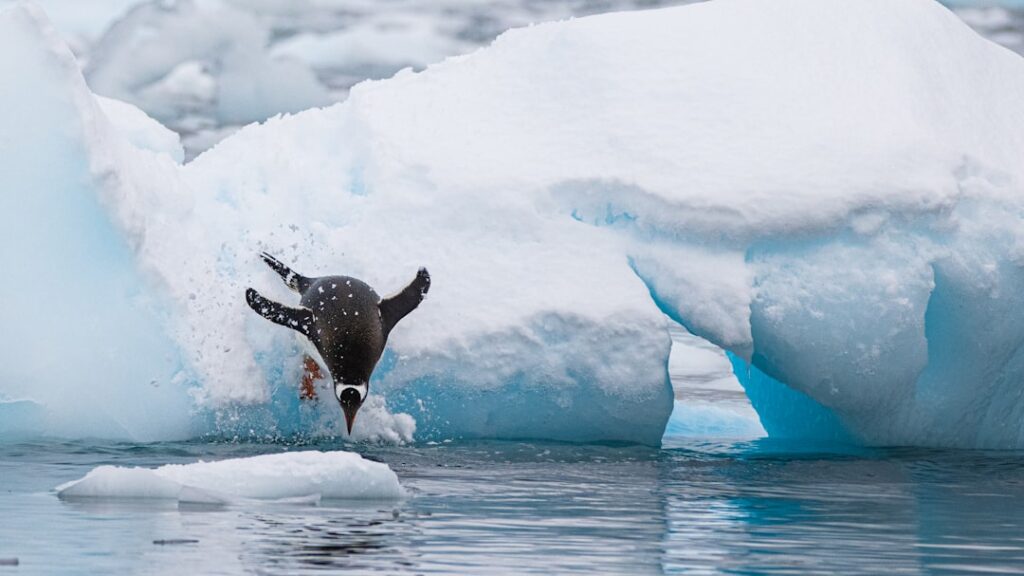 Antarctica: Pre-Ice Age Secrets