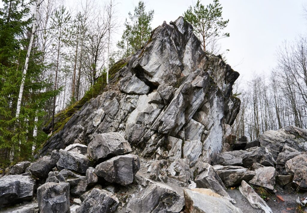 Concretion vs. Geode: A Geological Comparison