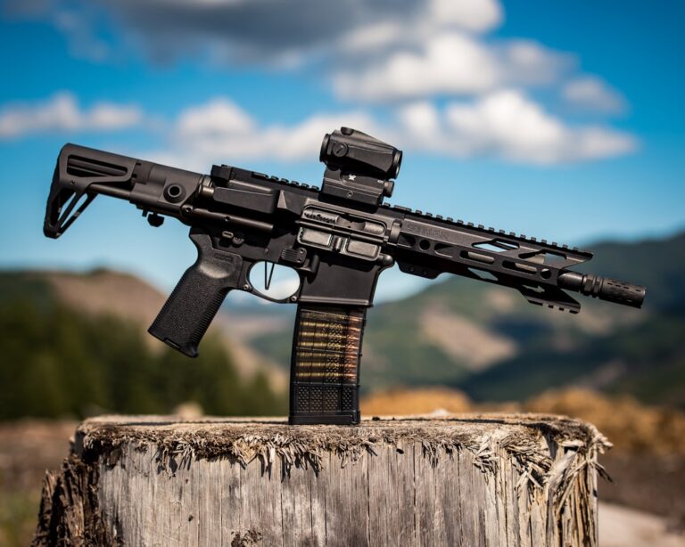 Forgotten Weapons: The Disappeared Arsenal